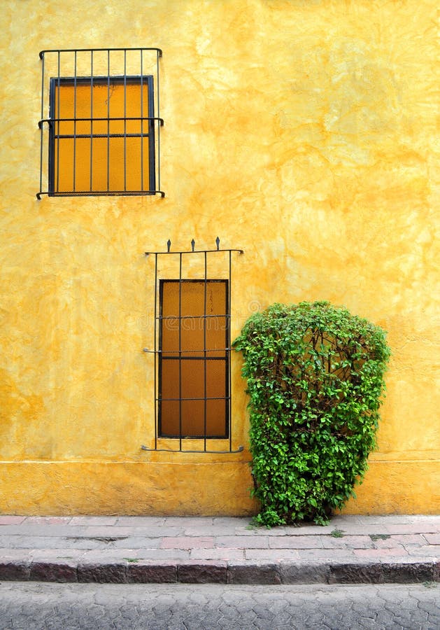Colonial House with Windows, Colorful Wall and a Bush Stock ...