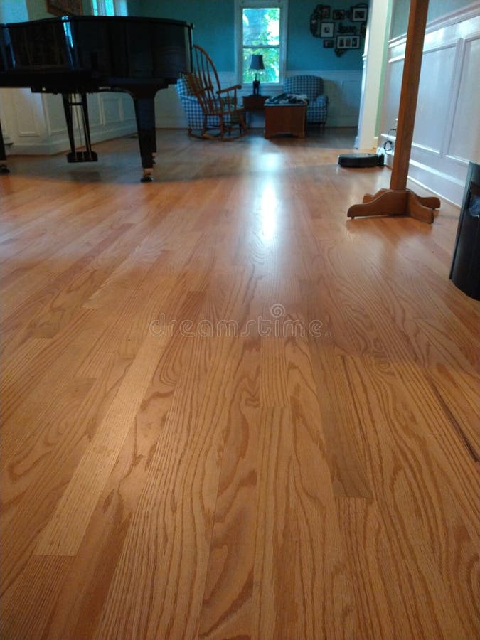 Colonial Maple on 2-1/4 Red Oak Finished with Satin Bona Hd Stock Image ...