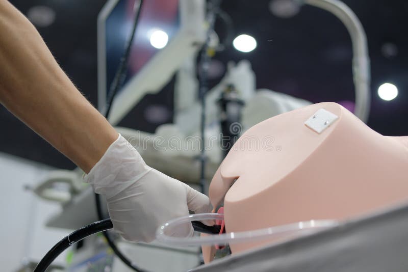 Colonoscopy Demontration with Anus & Colon Model Stock Image - Image of ...