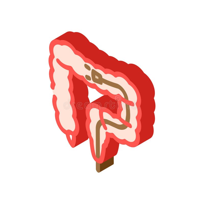 Colonoscopy Examination Isometric Icon Vector Illustration Stock ...