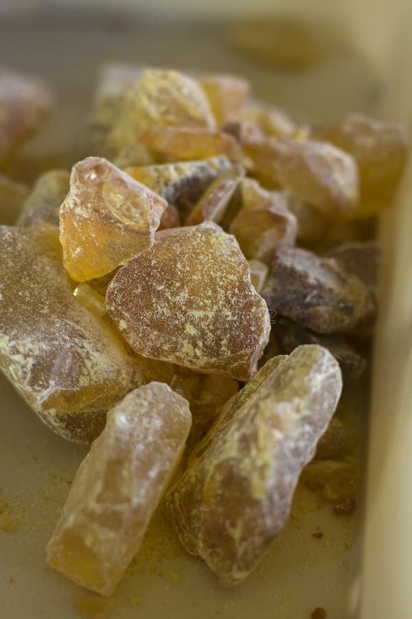 Colophane image stock. Image of lancement, nature, colophane - 26507687