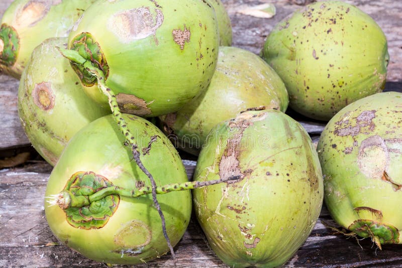 Coloque O Coco a Forma Facil Foto de Stock - Imagem de coco, coma: 51053070