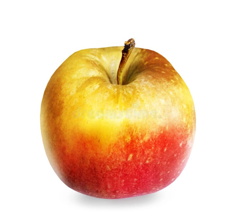 Color apple on white stock photo. Image of valentines - 218491236