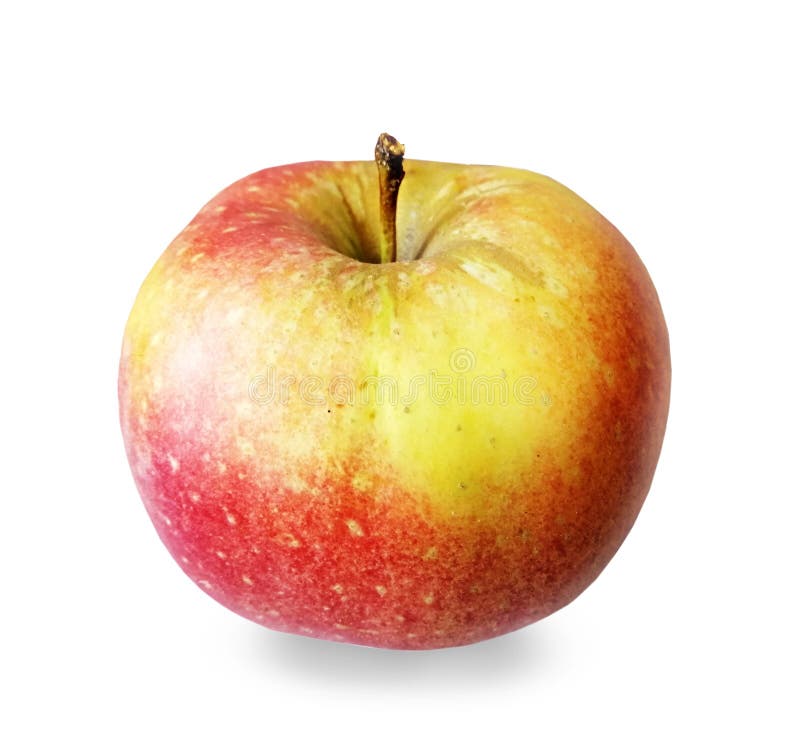 Color apple on white stock image. Image of decor, abstract - 216572745