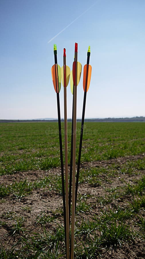 2,254 Archery Hunting Stock Photos - Free & Royalty-Free Stock Photos ...