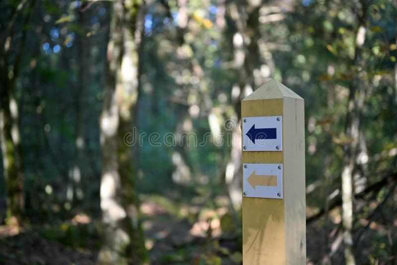 Color Arrows, Direction Sign on the Trail Path Stock Photo - Image of ...