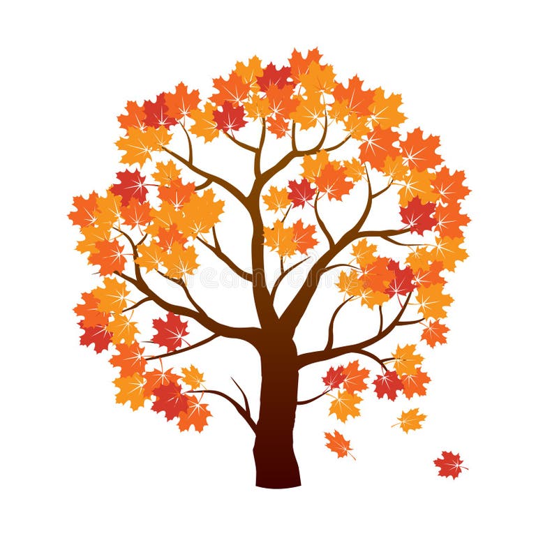 Color Autumn Marple Tree. Vector Illustration. Stock Illustration - Illustration of orange ...