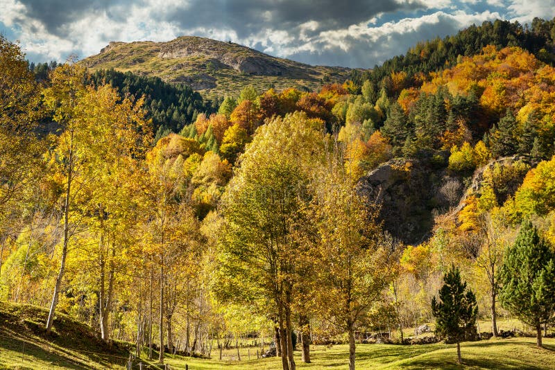 Color of Autumn at Mountain French Pyrenees Stock Image - Image of ...