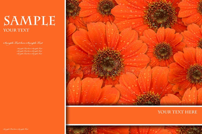 Color Background for Card or Book Cover Stock Illustration ...