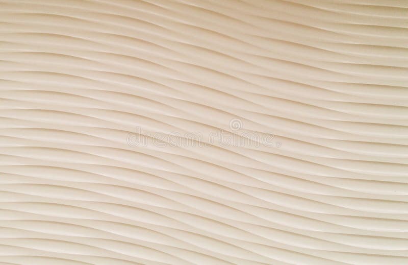 Color background stock photo. Image of colorful, cool - 81814444