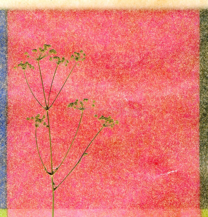 Color Background with Fennel Stock Illustration - Illustration of ...