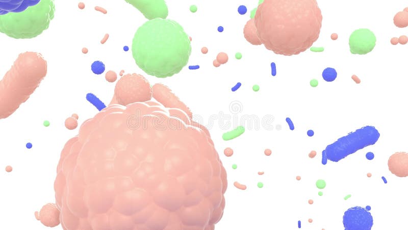 Lactobacillus in Human Microbiota, Creating Lactic Acid Stock ...