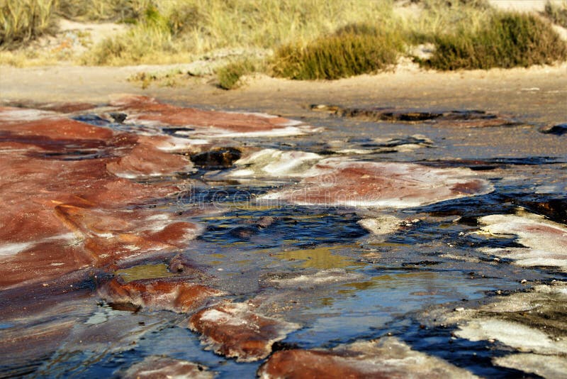 Beaches with colored rocks stock image. Image of color - 207521189