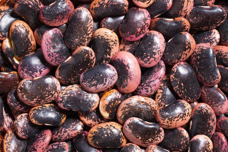 Color beans background stock photo. Image of closeup - 16244522