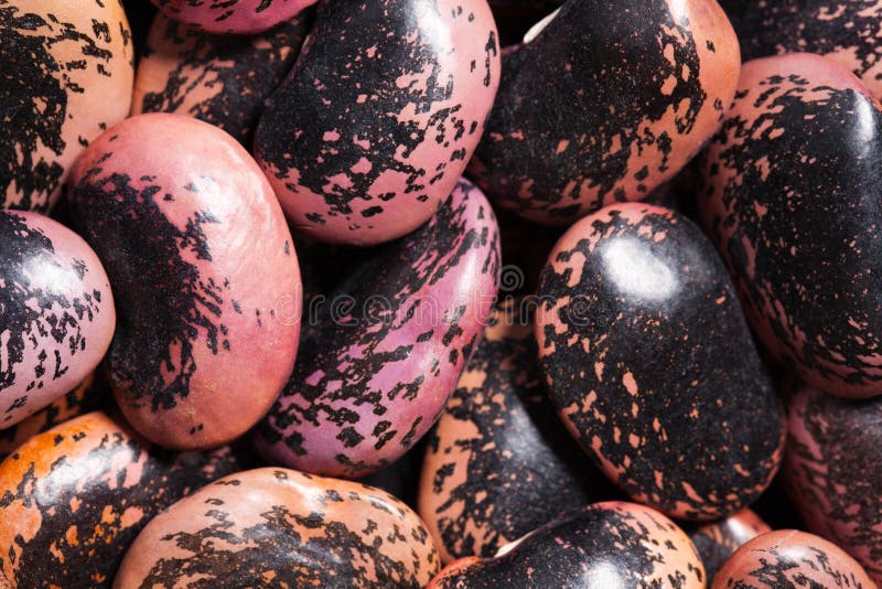 Color beans background stock photo. Image of nutrition - 16244542