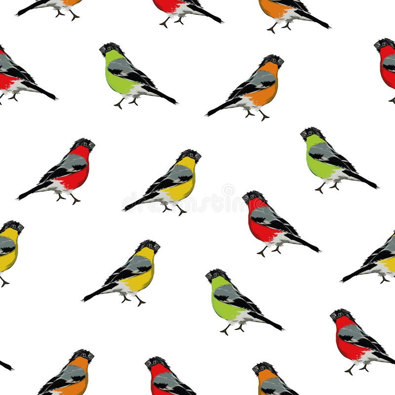 Color Birds Stock Illustrations – 27,594 Color Birds Stock ...
