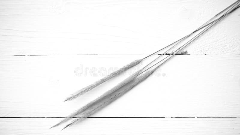 Color Blanco Y Negro Del Trigo Foto de archivo - Imagen de amarillo ...