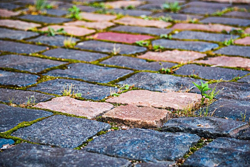 Color Bright Pavement with Green Grass Stock Photo - Image of grass ...
