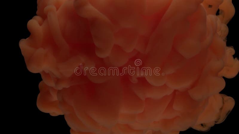 Color Burst - Abstract Color Animation of Orange Paint, on a Perfect ... Color Burst - Abstract Color Animation of Orange Paint, on a Perfect ...