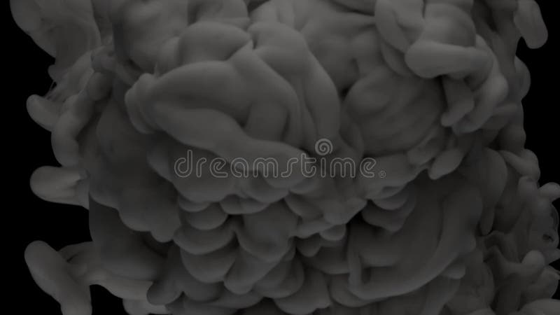 Color Burst - a Colored Abstract Animation of a Gray Paint Color, on a ...