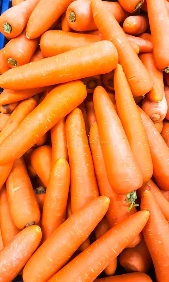 Color of carrot stock image. Image of vegetables, carrot - 79669739