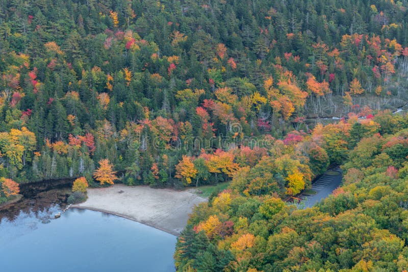Color changing in autumn stock image. Image of foliage - 130014133