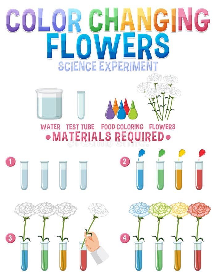 Changing Flowers Stock Illustrations – 374 Changing Flowers Stock ...