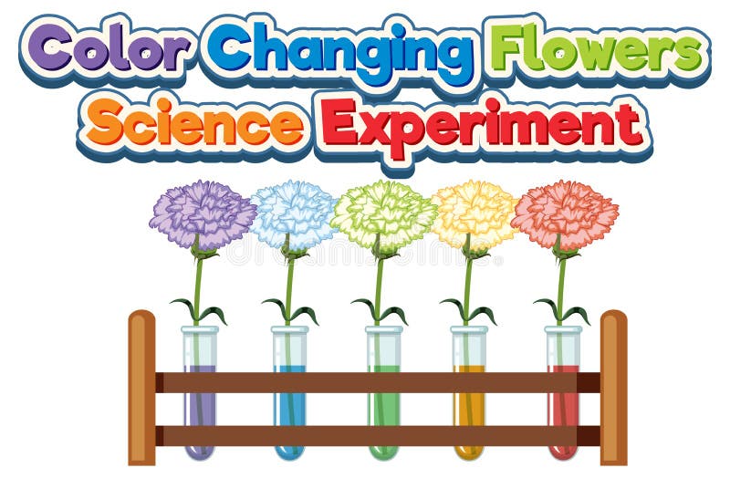 Color Changing Flowers Science Experiment Stock Vector - Illustration ...