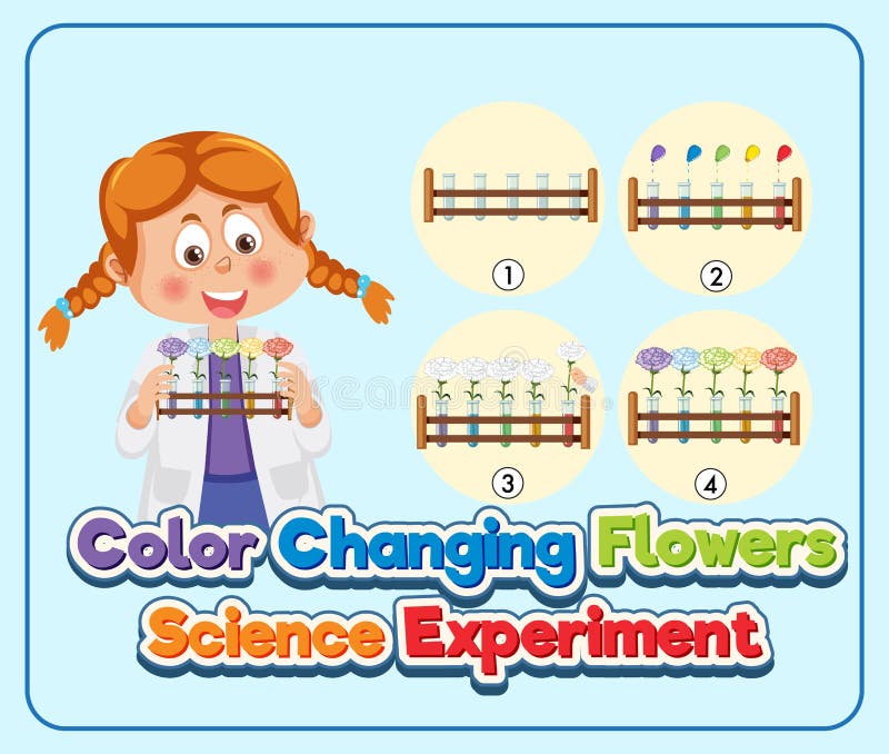 Color Changing Flowers Science Experiment Stock Vector - Illustration ...