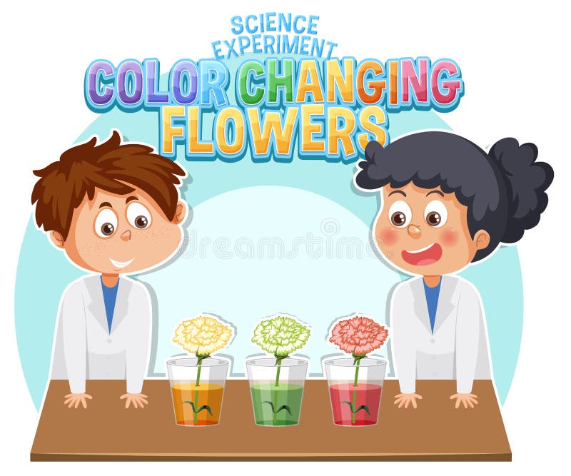 Color Changing Flowers Science Experiment Stock Vector - Illustration ...