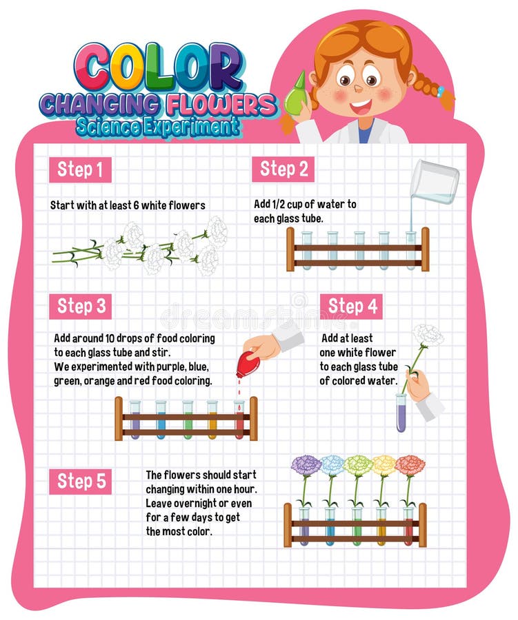 Color Changing Flowers Science Experiment Stock Vector - Illustration ...