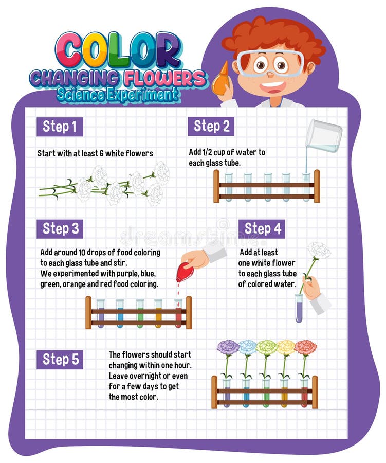 Color Changing Flowers Science Experiment Stock Vector - Illustration ...