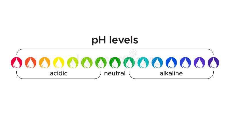 Color Coded PH Level in Water for Acid and Alkaline Stock Vector ...