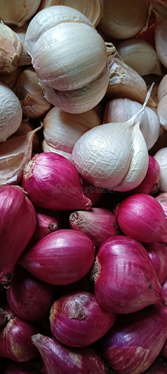Color Combination of Red and White Onion Stock Image - Image of violet ...