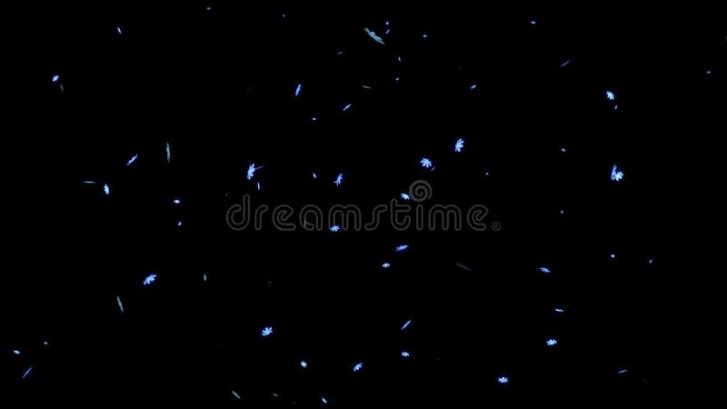 Color Cosmos Falling Particles Motion Graphics Stock Footage - Video of ...