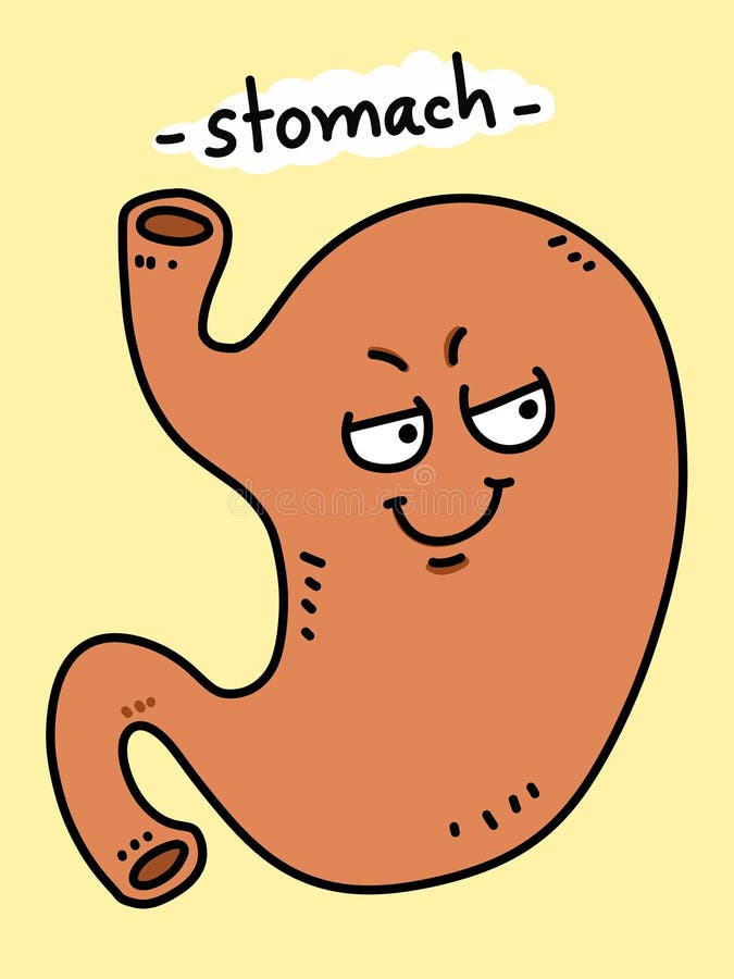 Color of Cute Stomach Cartoon Stock Illustration - Illustration of ...