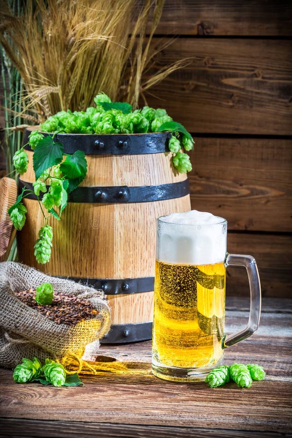 Color De Oro De Cervezas Ligeras Foto de archivo - Imagen de caso ...