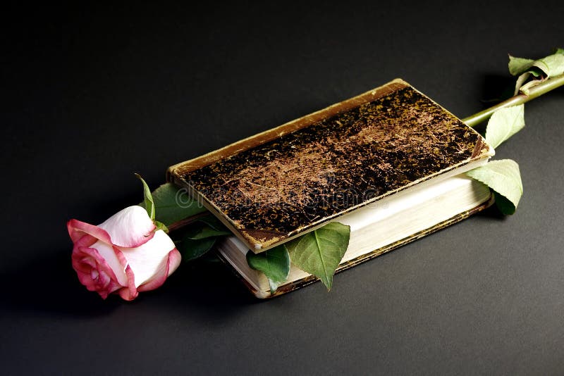 Color De Rosa Color De Rosa Y Un Libro Antiguo Imagen. Imagen: 10006661