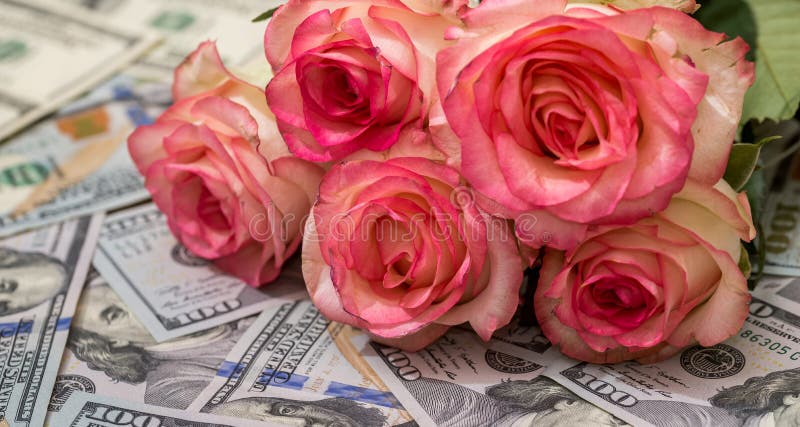 Color De Rosa Hermoso Y Dinero Foto de archivo - Imagen de rojo ...