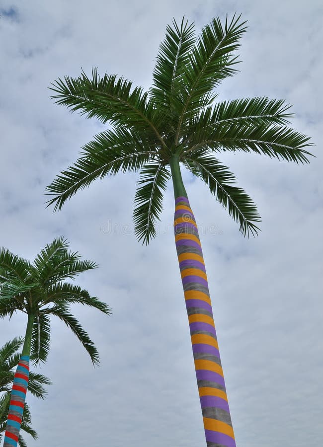 Color Decorative Palm Trees Stock Photo - Image of america, coast: 59311956