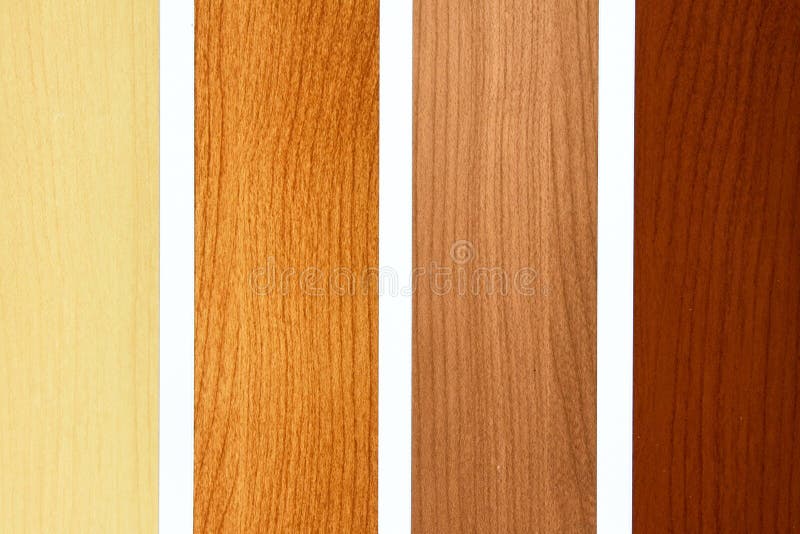 Color del arce imagen de archivo. Imagen de recogedor - 6302967