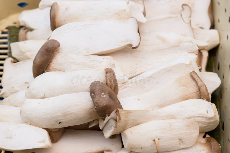 Color Del Blanco De La Comida De La Seta Imagen de archivo - Imagen de ...