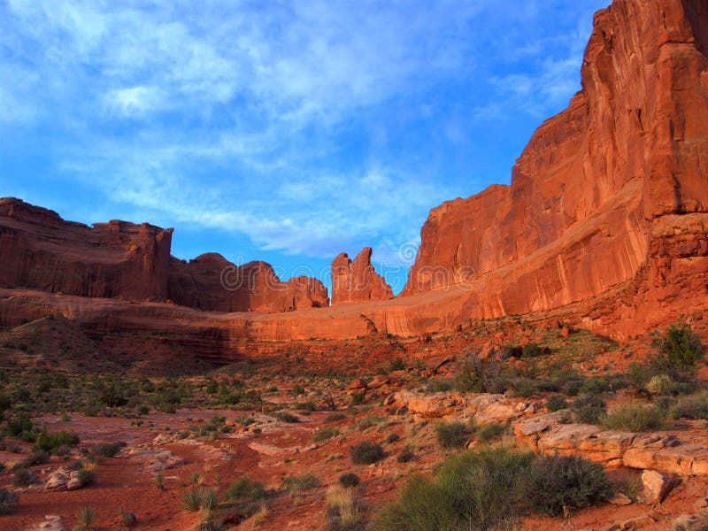 Color del desierto foto de archivo. Imagen de naturalizado - 23715562