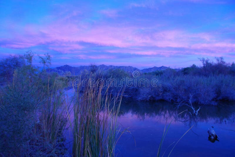 Color of the desert pond stock photo. Image of desert - 136472910