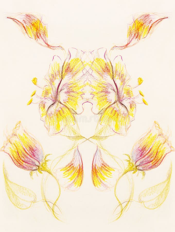 Color Drawing Flower. Original Hand Draw on Paper. Stock Illustration ...