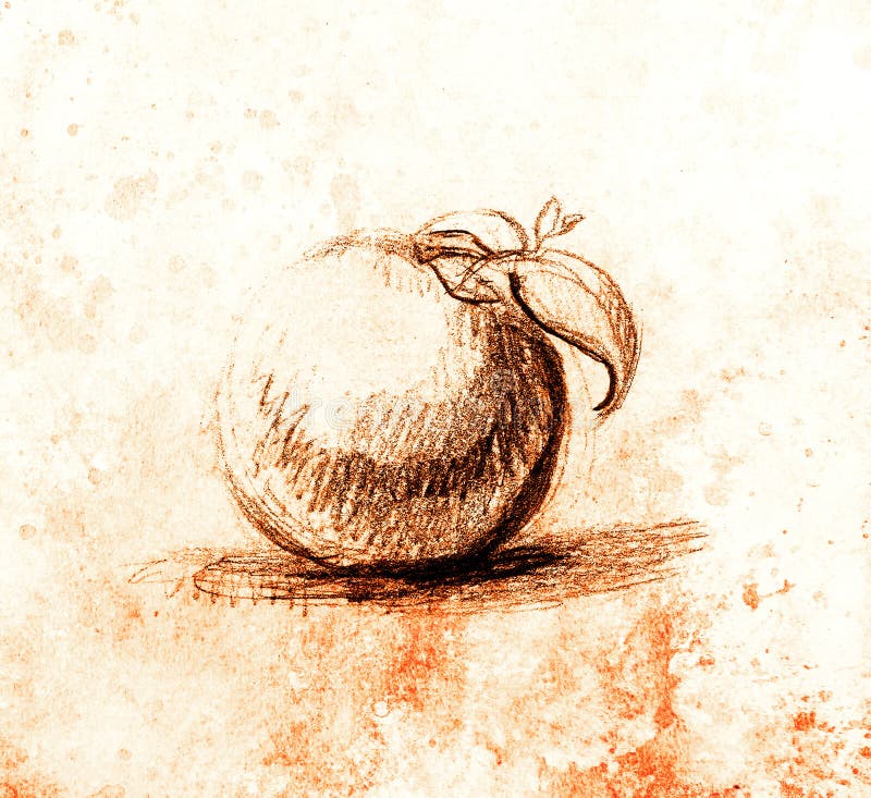 Color Drawing of Fruit. Original Hand Draw and Computer Collage Stock ...