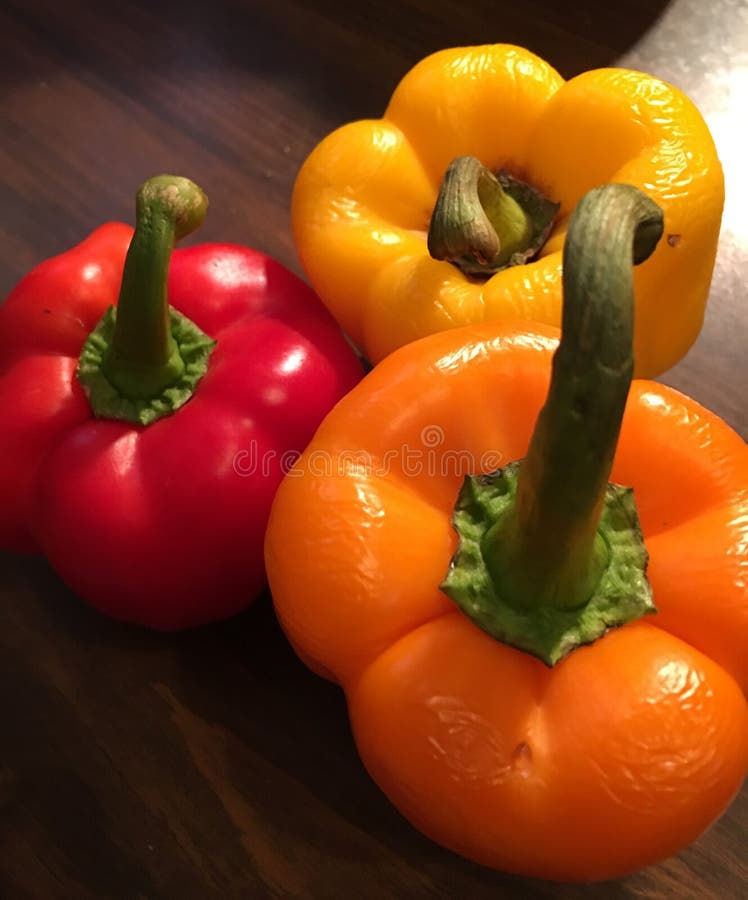 The color of fall stock photo. Image of colors, gardening - 115231092