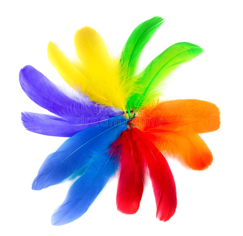 Color feather stock image. Image of colorful, bird, multicolored - 31892271