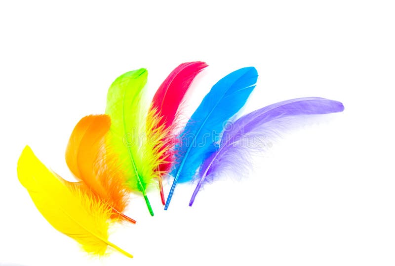 Unique feather stock photo. Image of competition, feather - 12859772