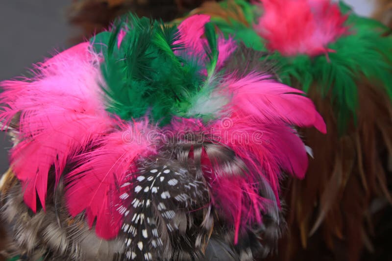 Color feather duster stock image. Image of chinese, traditional - 383884039